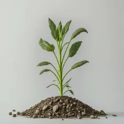 Organic Bio Fertilizers & Manures for Sustainable Plant Growth | Bazodo