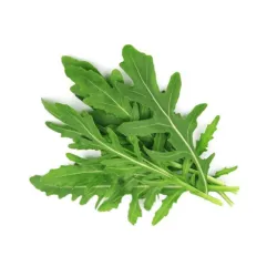 Wild Rocket (Arugula) Herb Seeds | Grow Your Own Arugula at Home | BAZODO