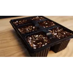 Seed Starting Mix Germination Pot Mix 1000 Grams Pack | BAZODO