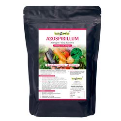 BAZODO Azospirillum Biofertilizer: Boost Plant Growth! | BAZODO