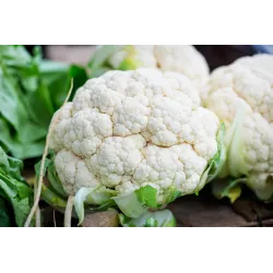 Cauliflower 100 Seeds Packet | BAZODO