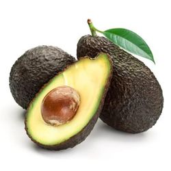 Hass Avocado Grafted Live Plant - BAZODO | BAZODO