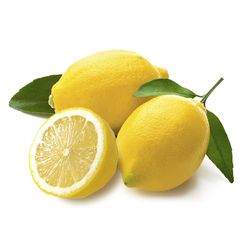 Buy Live Lemon Plant with Fruit - BAZODO India | BAZODO