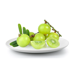 Grafted Indian Gooseberry Plant - Amla Tree | BAZODO | BAZODO